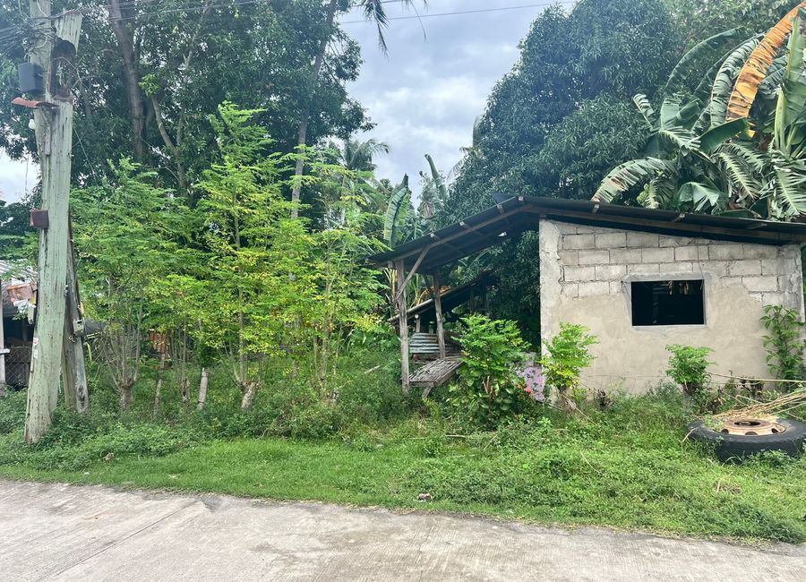 SEMI-COMMERCIAL LOT FOR SALE IN DAUIN ID 15063