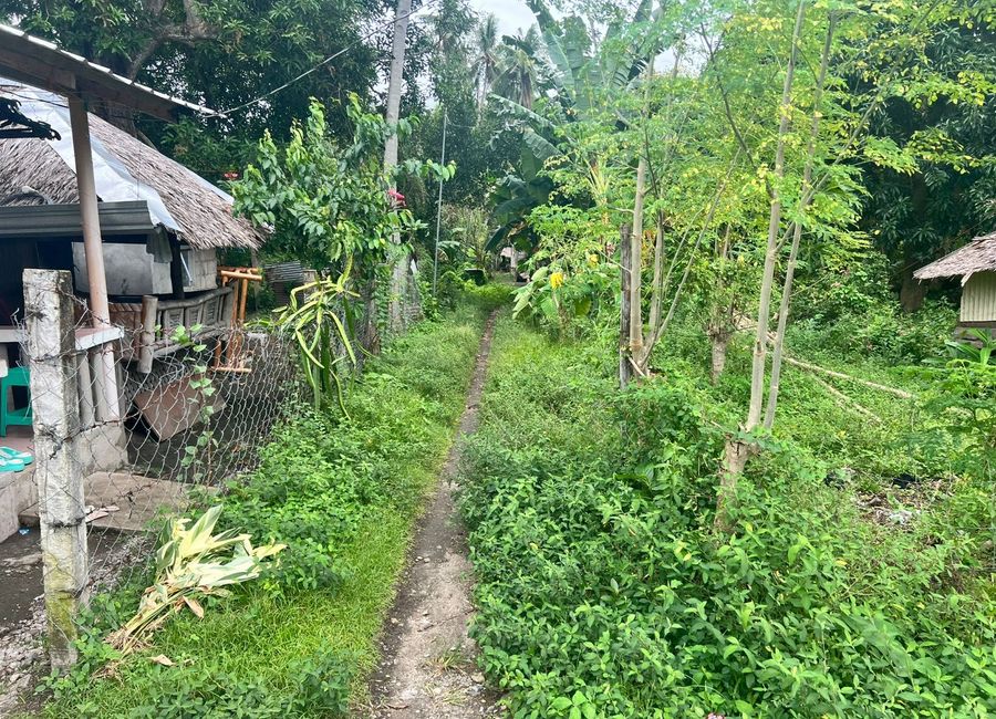 SEMI-COMMERCIAL LOT FOR SALE IN DAUIN ID 15063