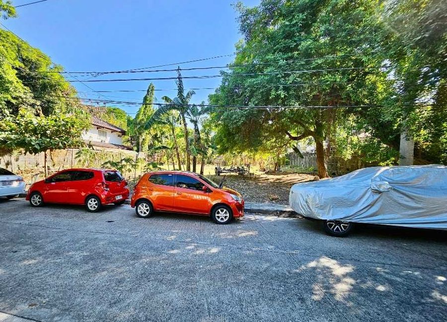 Lot For Sale Ayala Alabang Village Muntinlupa Prime Area Regular Shape