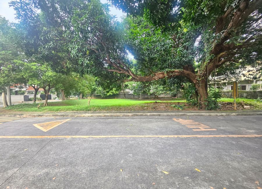 Corner Lot For Sale Ayala Alabang Muntinlupa Residential Lot Open For ...