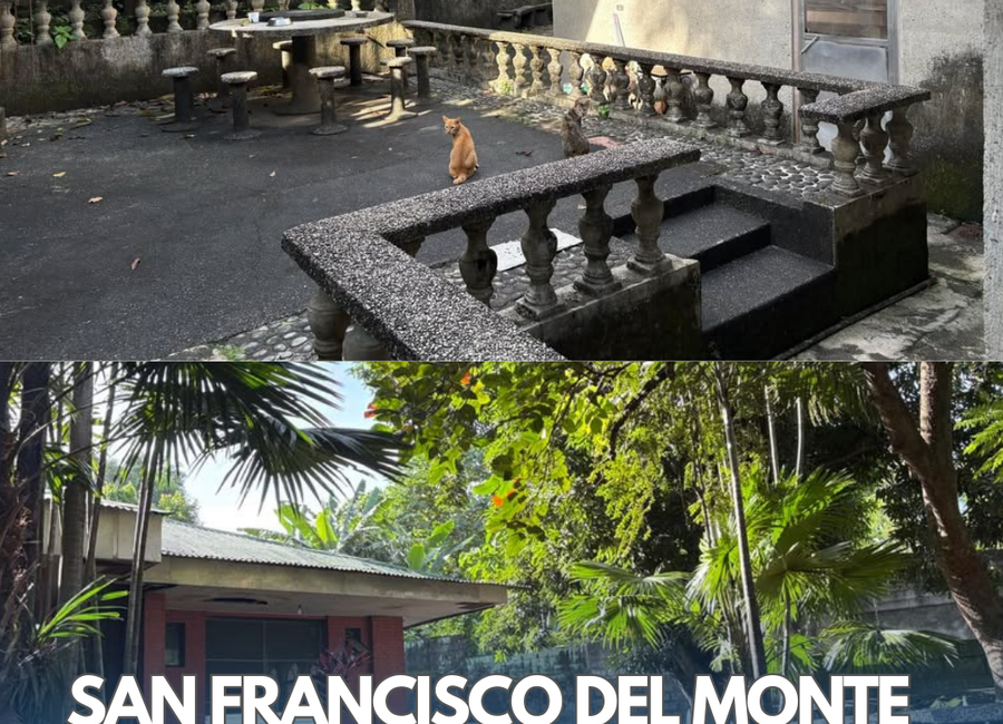 Prime Lot for Sale in San Francisco Del Monte Quezon City