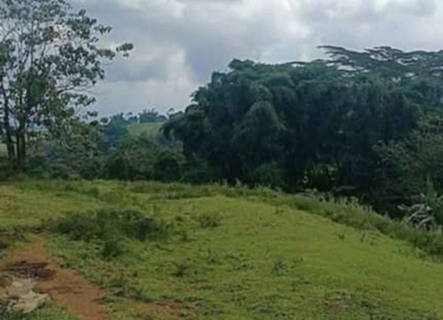 7.9 hectares farm lot In Bukidnon
