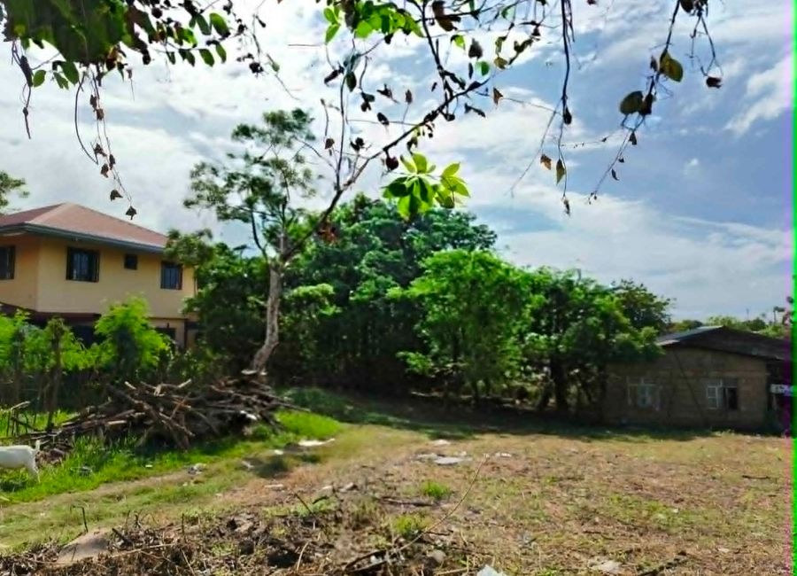 For Sale: Spacious 600 sqm Lot Along Barangay Road Located in Poblacion ...