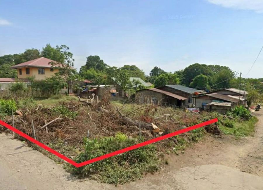 For Sale: Spacious 600 sqm Lot Along Barangay Road Located in Poblacion ...