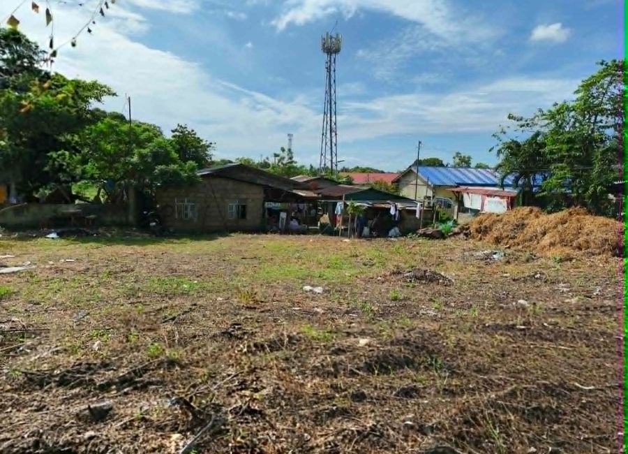 For Sale: Spacious 600 sqm Lot Along Barangay Road Located in Poblacion ...