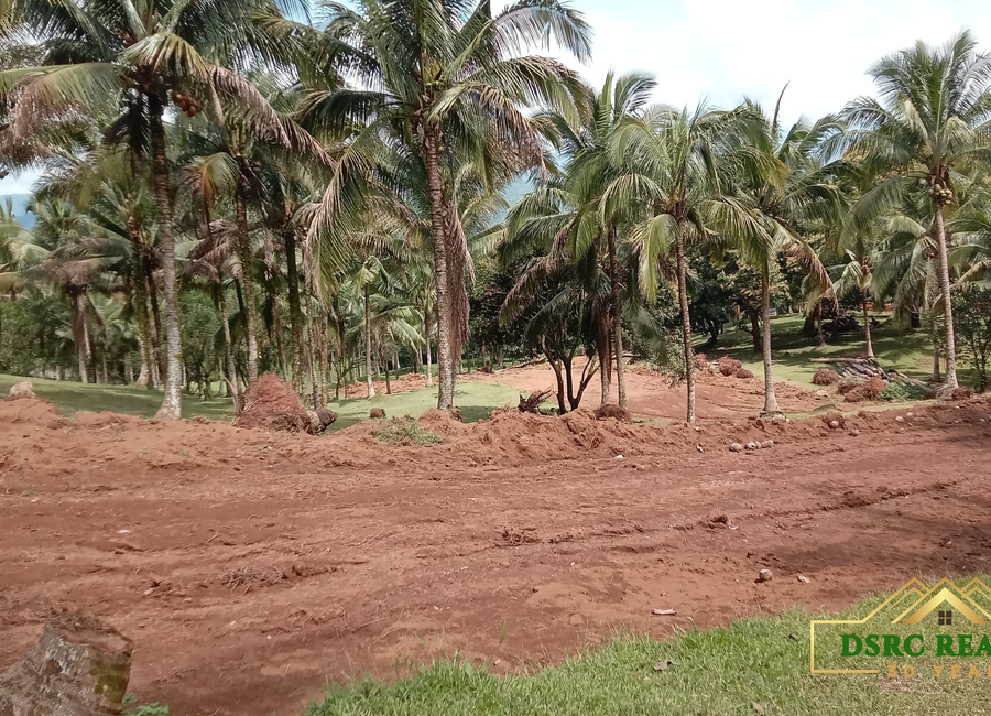 PRIME RESIDENTIAL LOT FOR SALE IN TANAY RIZAL