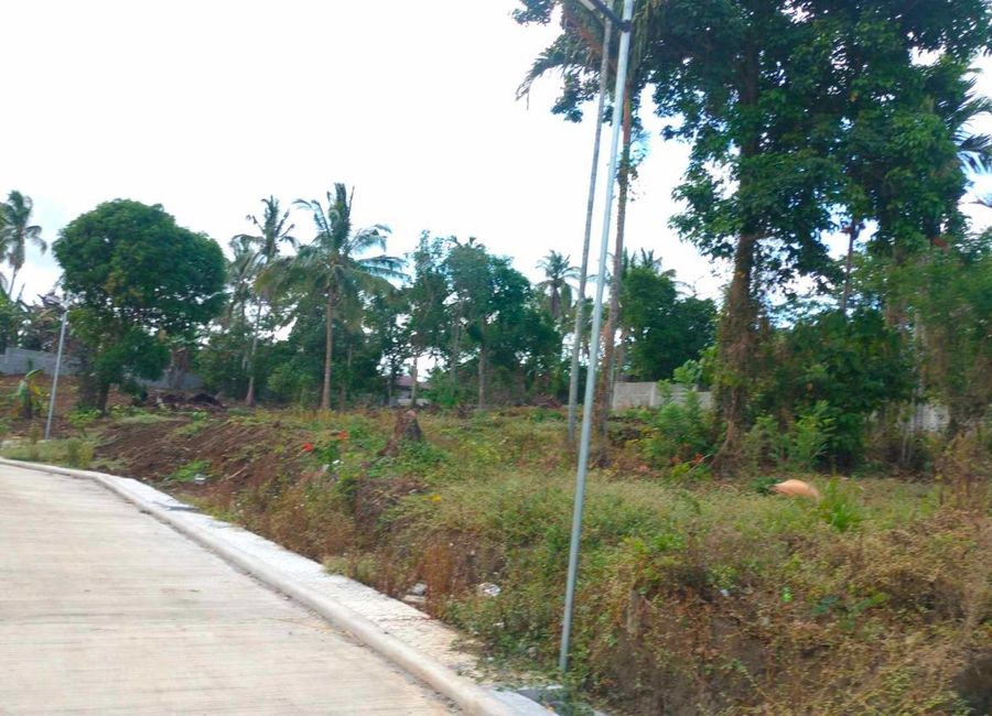 Farm lot in Cavite For sale near Tagaytay