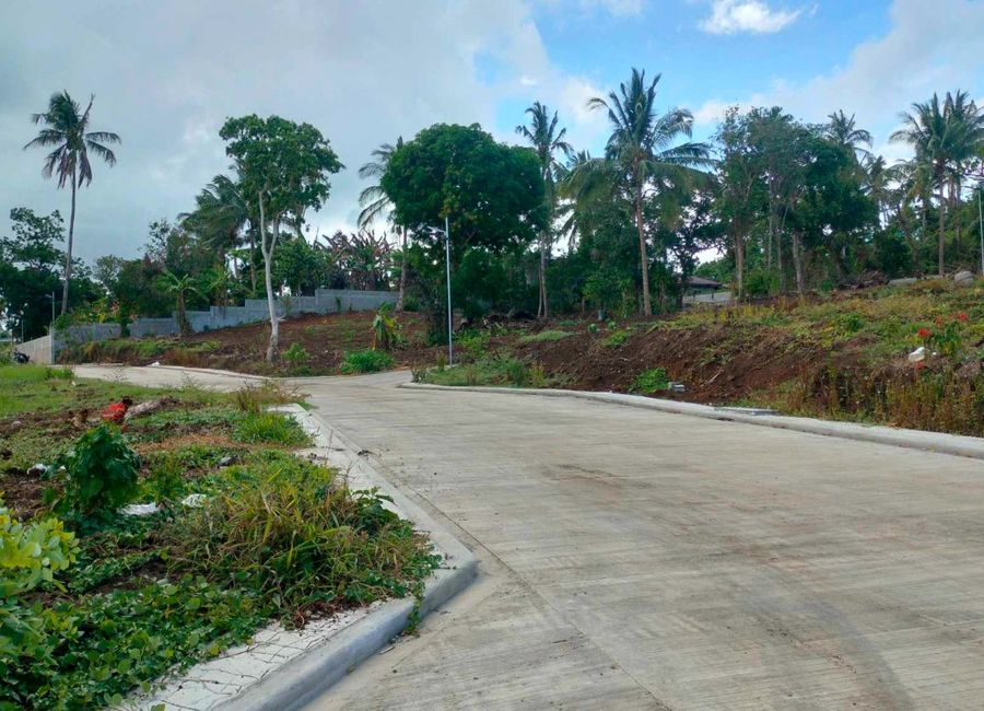 Farm lot in Cavite For sale near Tagaytay