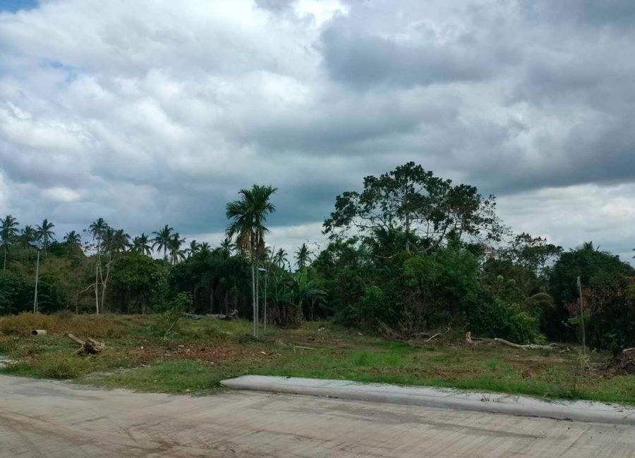 Farm lot in Cavite For sale near Tagaytay