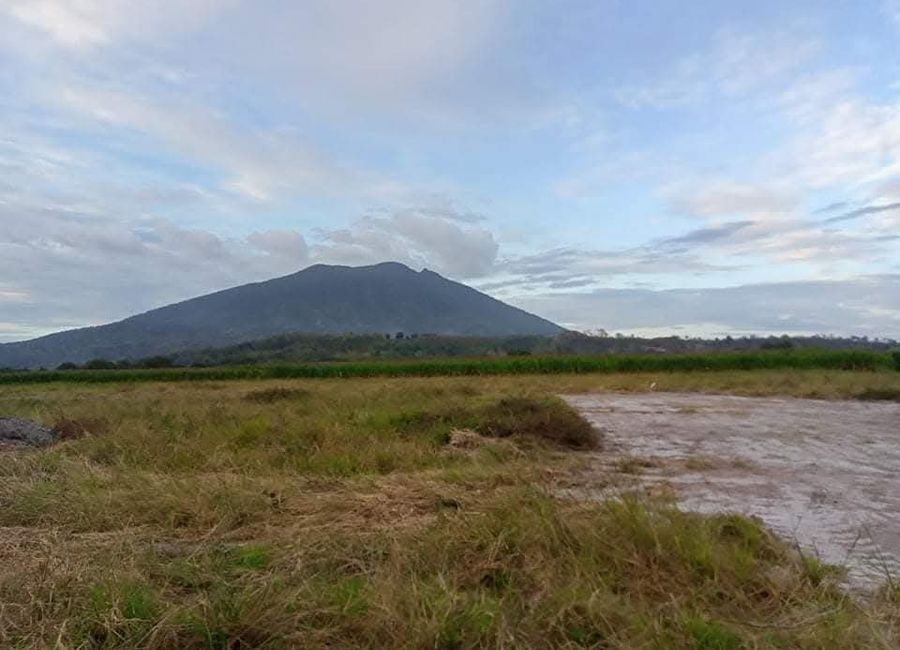 Agricultural lot corner lot with Mt. Arayat view for Sale in Arayat ...
