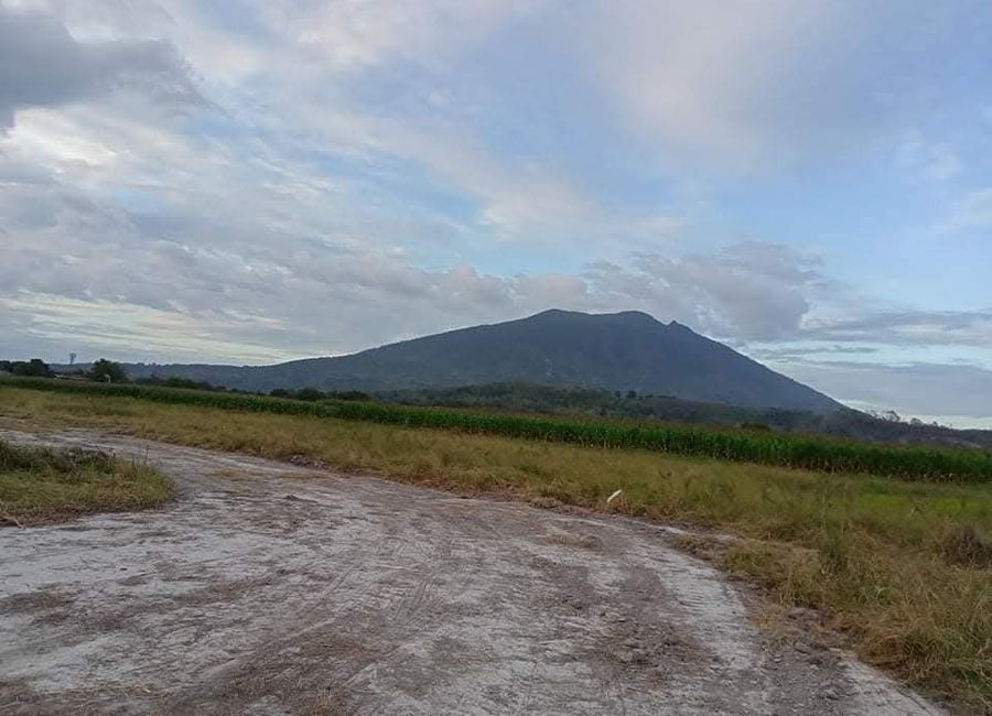 Agricultural lot corner lot with Mt. Arayat view for Sale in Arayat ...