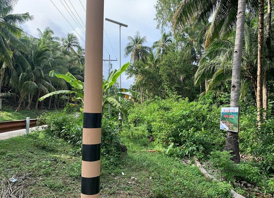 LOT FOR SALE WITH BEACH ACCESS SIQ00148