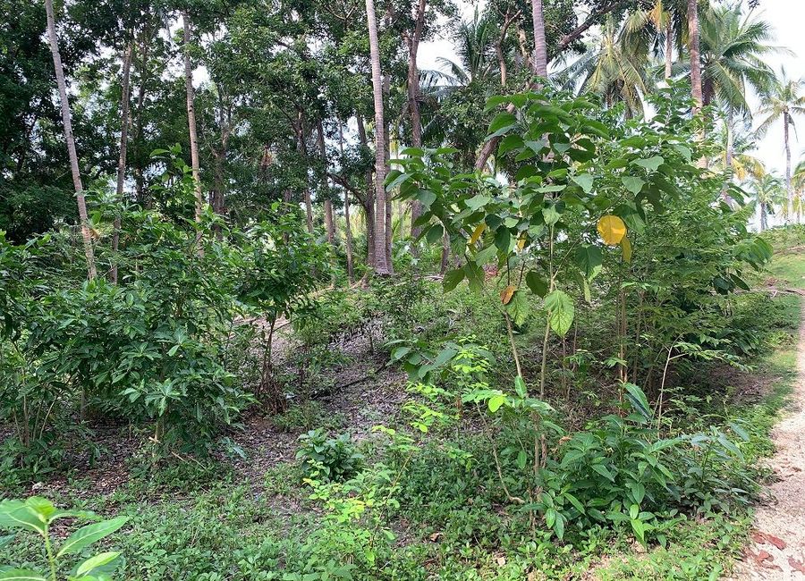 LOT FOR SALE WITH BEACH ACCESS SIQ00148