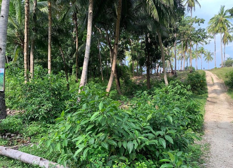 LOT FOR SALE WITH BEACH ACCESS SIQ00148