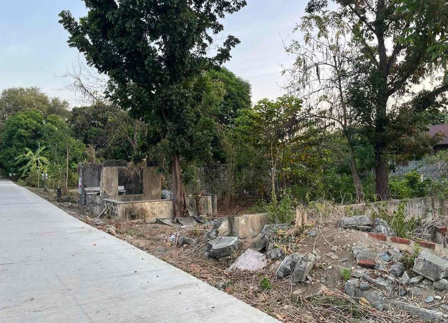 RUSH SALE‼️ RESIDENTIAL LOT NEAR TARLAC STATE UNIVERSITY IN CAMILING TARLAC