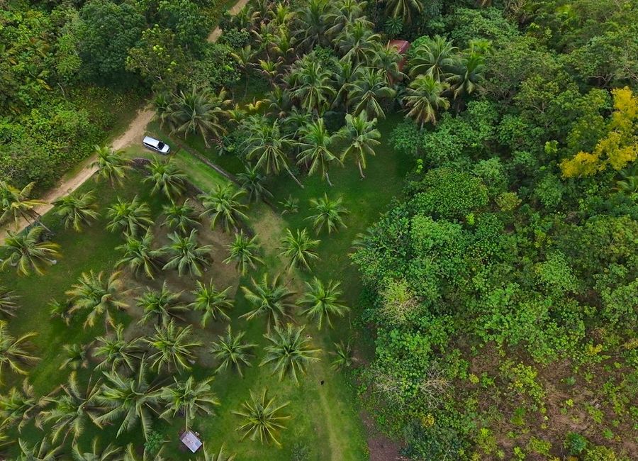 22,889 sqm Farm Lot For Sale- Tanday, Corella