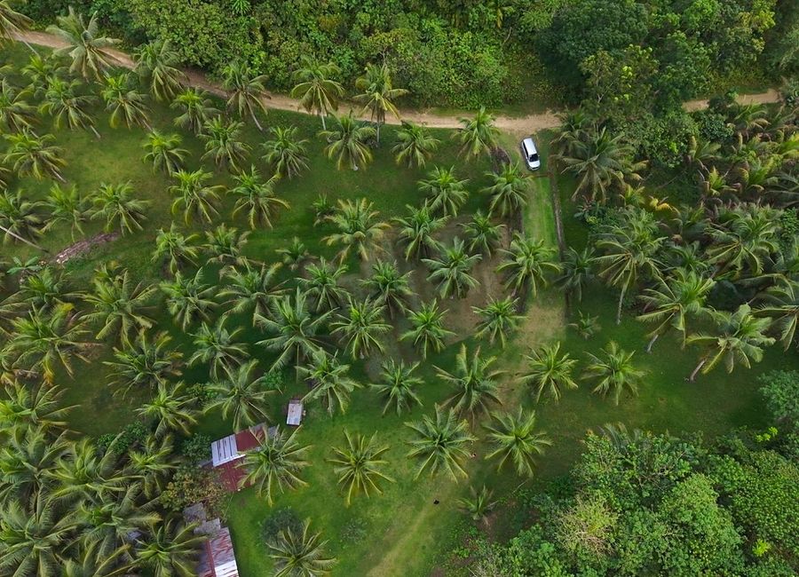 22,889 sqm Farm Lot For Sale- Tanday, Corella