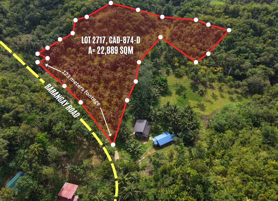 22,889 sqm Farm Lot For Sale- Tanday, Corella