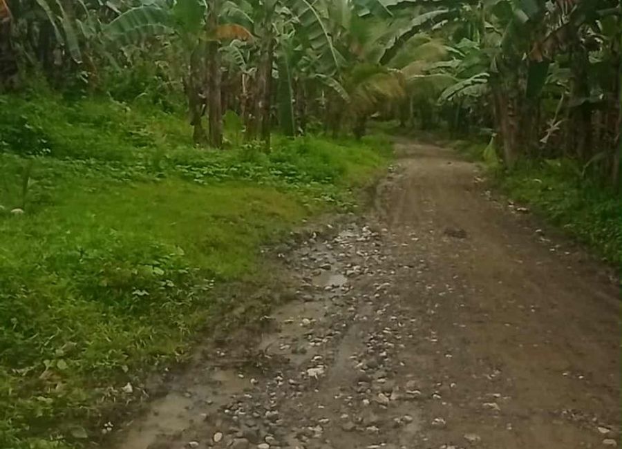 Titled 12-hectares farm lot