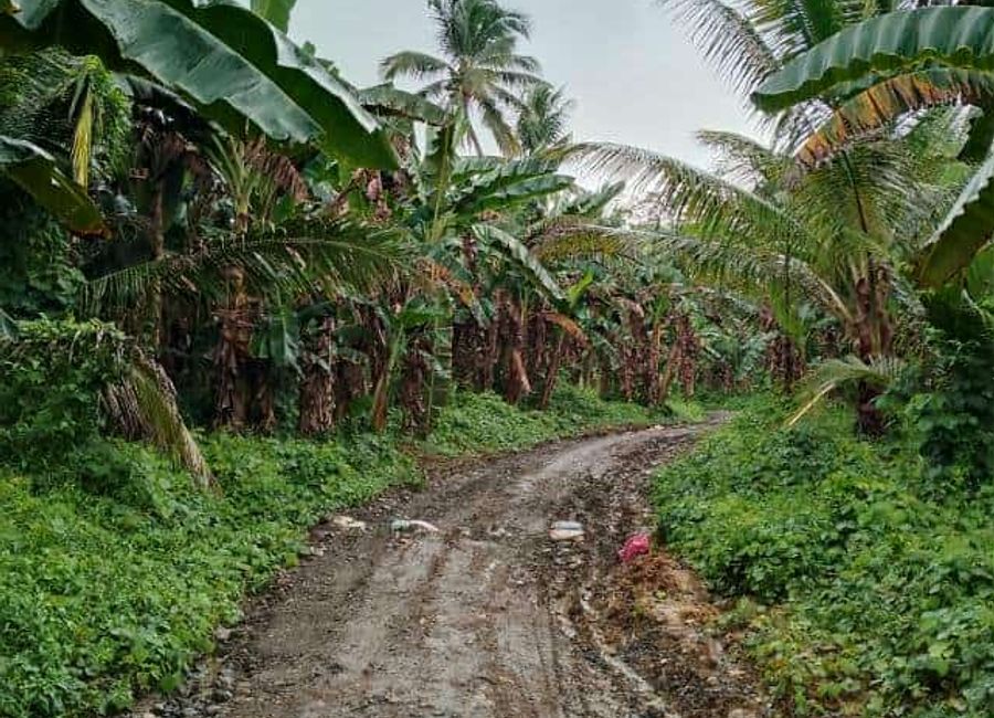 Titled 9-hectare farm lot