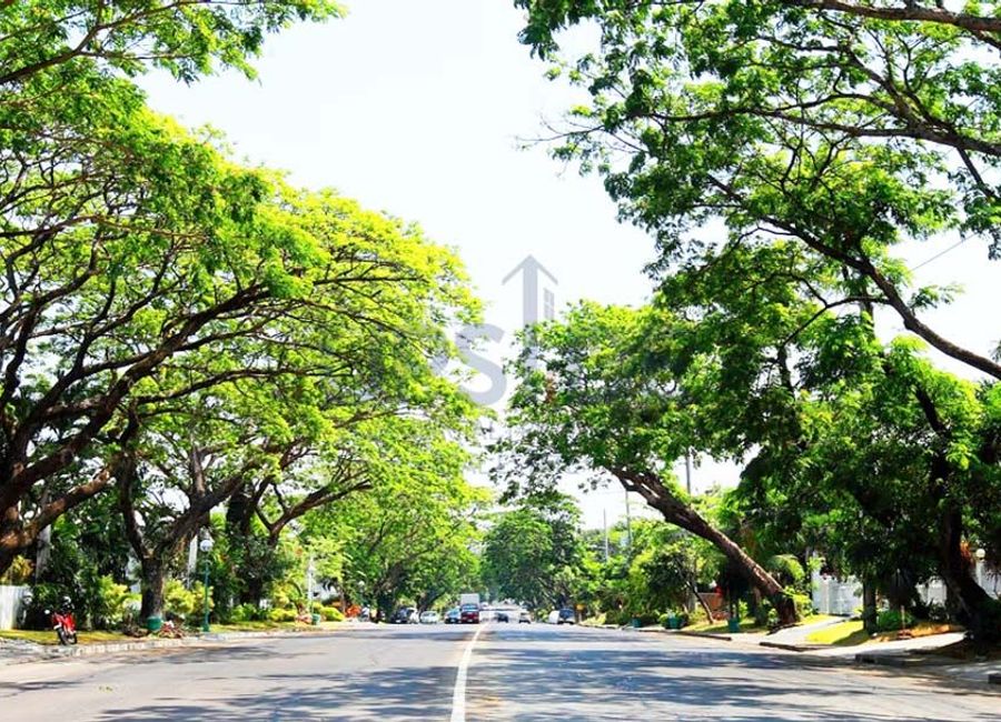Ayala Alabang Lot with Old House for Sale near the Village Gate