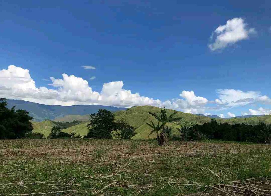 5.3-Hectare farm lot for sale