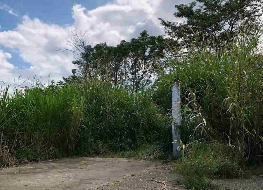 5.3-Hectare farm lot for sale