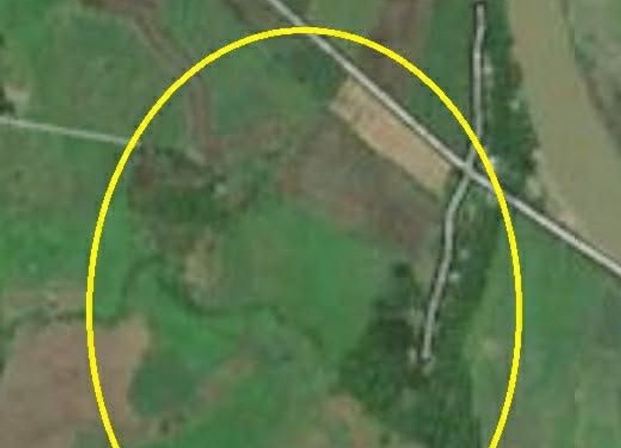 FOR SALE 2 adjacent lots in Pavia, Iloilo