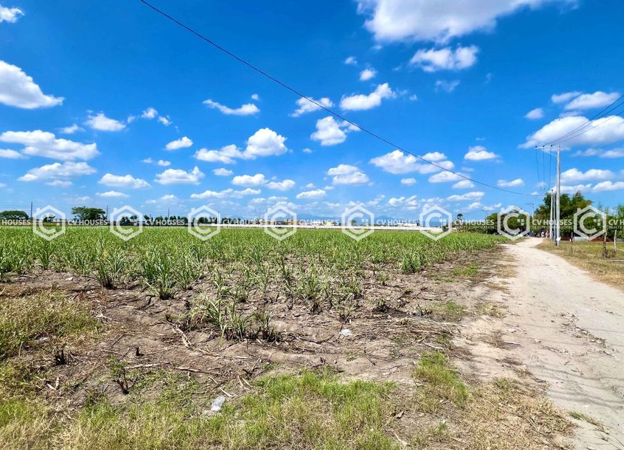 62,594SQM AGRICULTURAL LOT FOR SALE – MEXICO, PAMPANGA