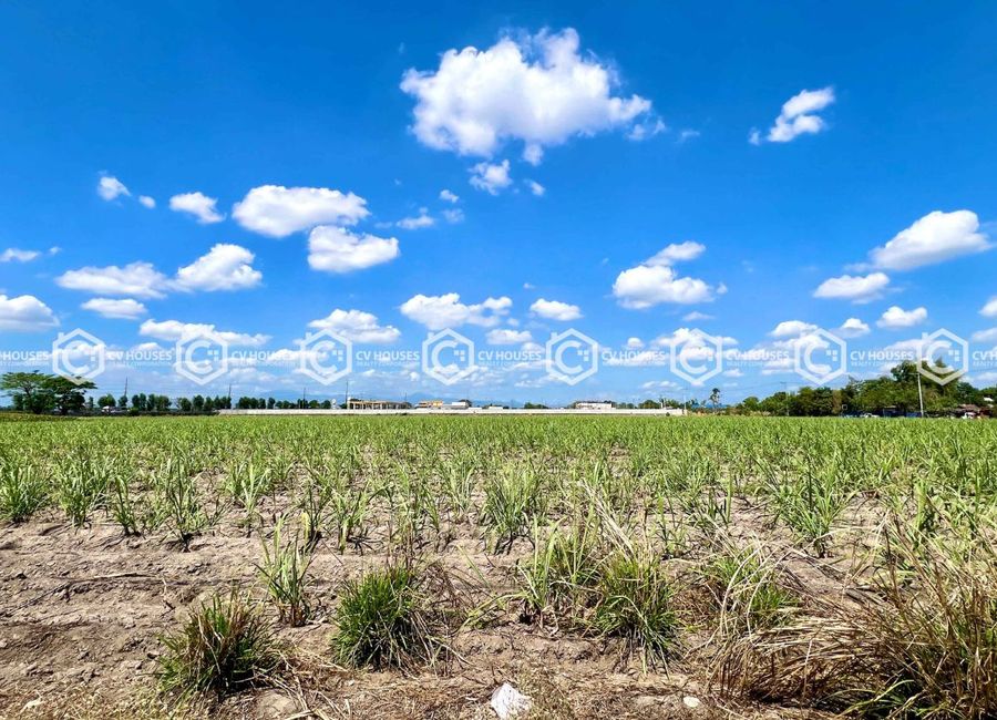 62,594SQM AGRICULTURAL LOT FOR SALE – MEXICO, PAMPANGA