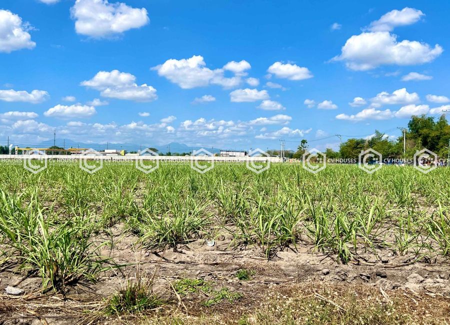 62,594SQM AGRICULTURAL LOT FOR SALE – MEXICO, PAMPANGA