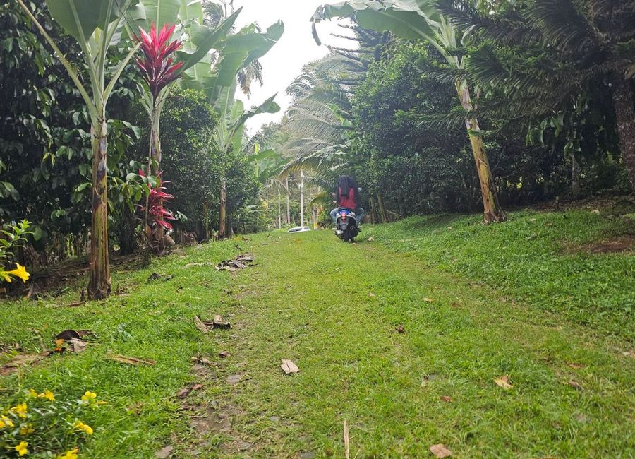 🏡 SUPER PRIME LOT 7,000 SQM FARM & REST HOUSE PROPERTY – BARACATAN, TORIL