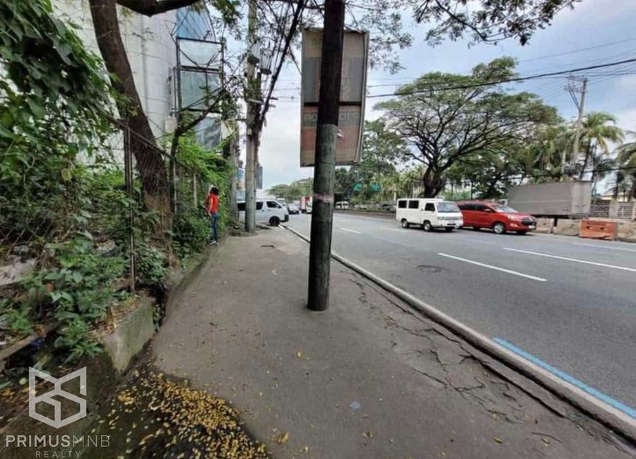 FOR SALE: Commercial Lot along C5-Libis