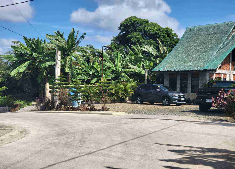 Farm lot for sale good for investment in Cavite