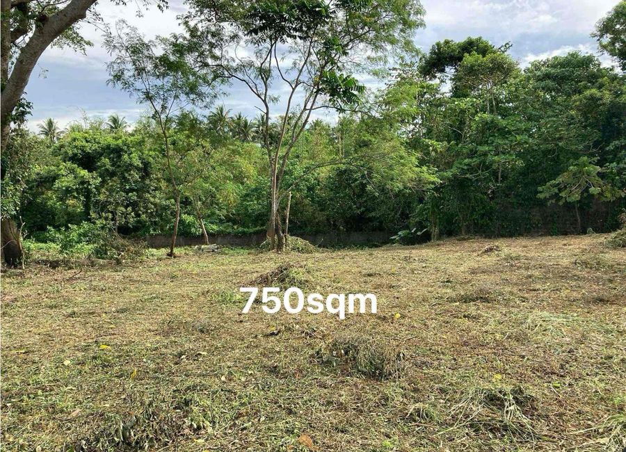 FARM LOT FOR SALE BESIDE GHOUSE PRIVATE RESORT IN ALFONSO CAVITE