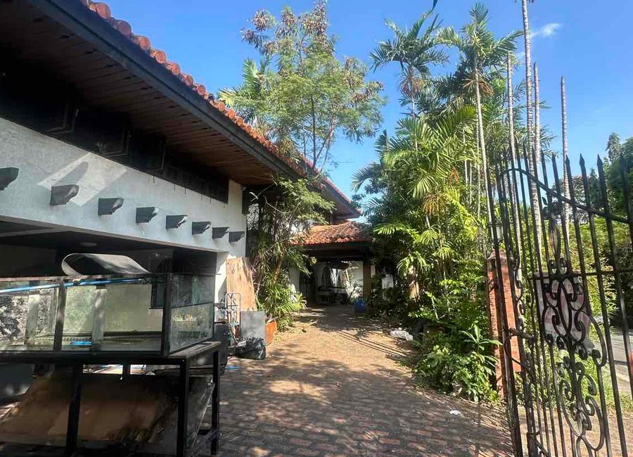 for sale, Old House and lot, Ayala Alabang Village.