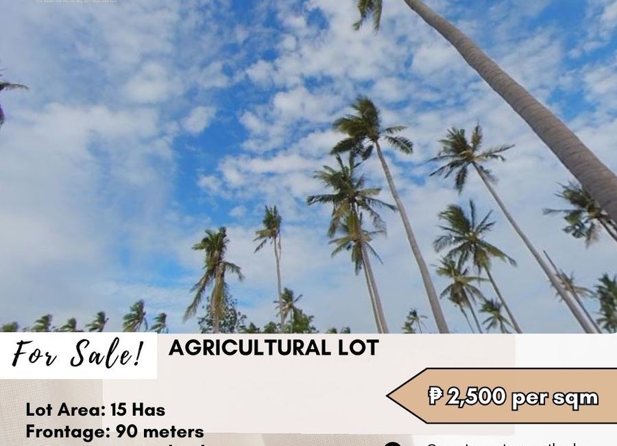 For Sale: Agricultural Lot located at San Juan Laiya Ibabao Batangas ...