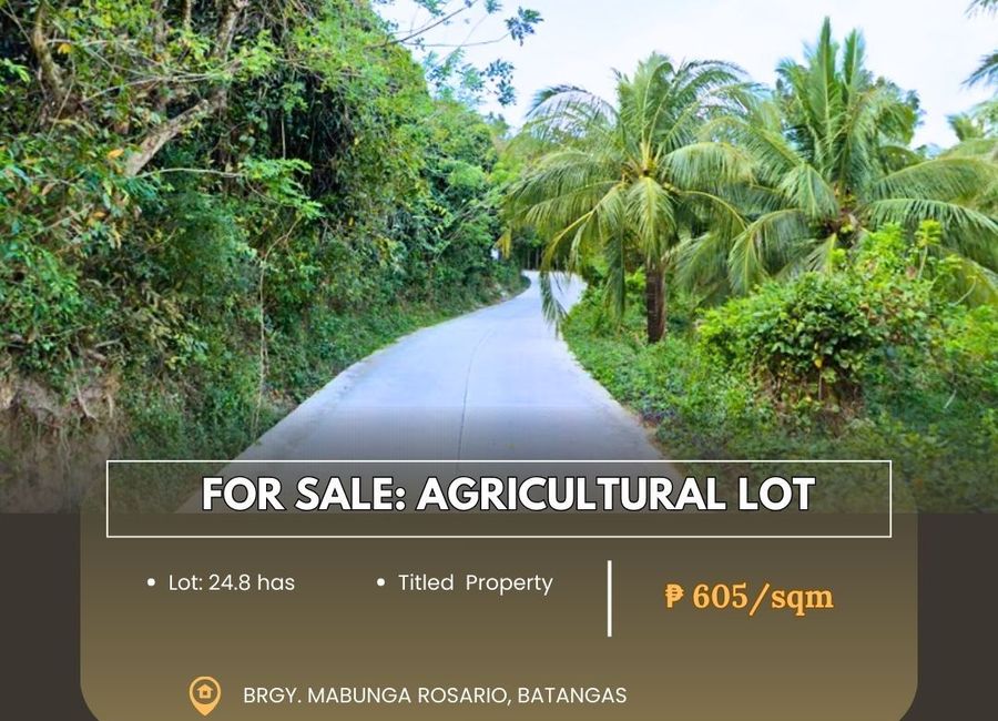 For Sale: Agricultural Lot located at Brgy. Mabunga Rosario, Batangas
