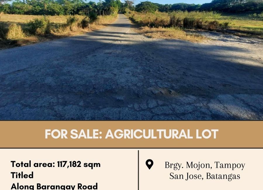 For Sale: Vacant Lot located at Barangay Mojon,Tampoy San jose Batangas