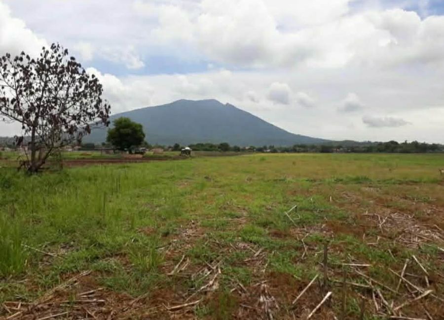Agricultural Lot 23,891 sqm with Mt. Arayat view for Sale in Arayat ...