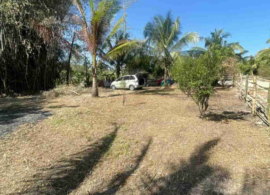 Farm Lot in Candelaria Quezon