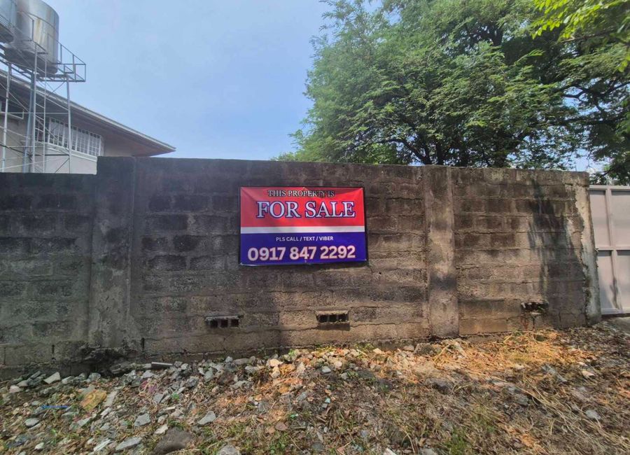 Residential Lot along Concha Cruz Dr. BF Homes Parañaque For Sale