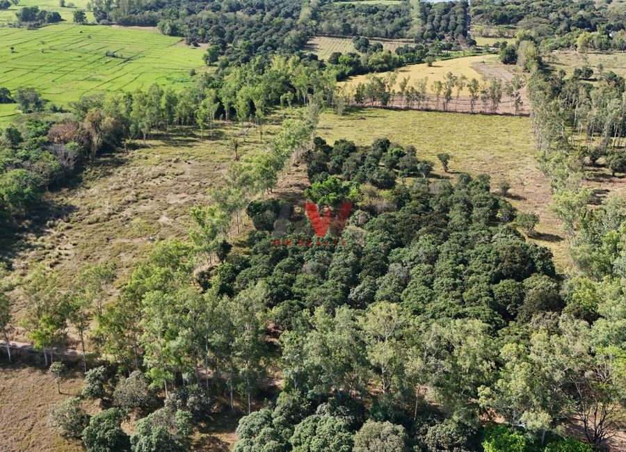 5.4 HECTARE FARM FOR SALE – PALAYAN CITY