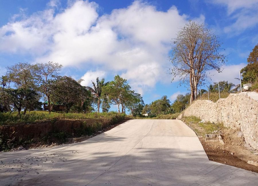 For Sale 1000 sqm in Alfonso Cavite across Delantera Restaurant