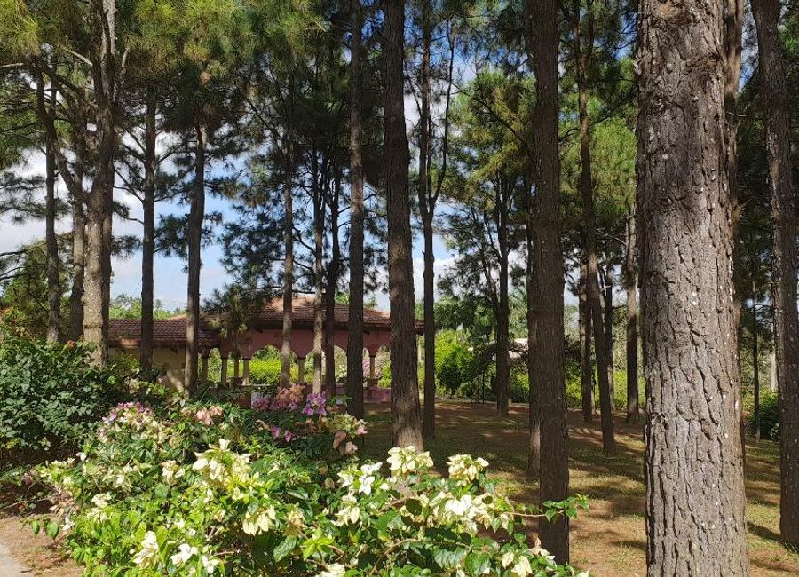 985 SQM PONDEROSA LEISURE FARMS PULONG BUNGA SILANG CAVITE NEAR TAGAYTAY