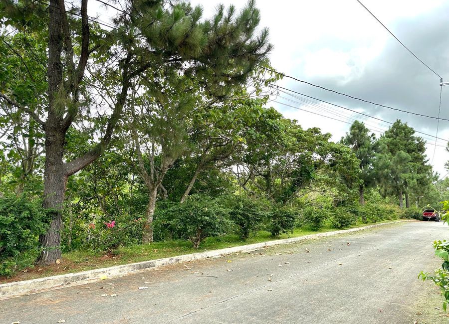 985 SQM PONDEROSA LEISURE FARMS PULONG BUNGA SILANG CAVITE NEAR TAGAYTAY