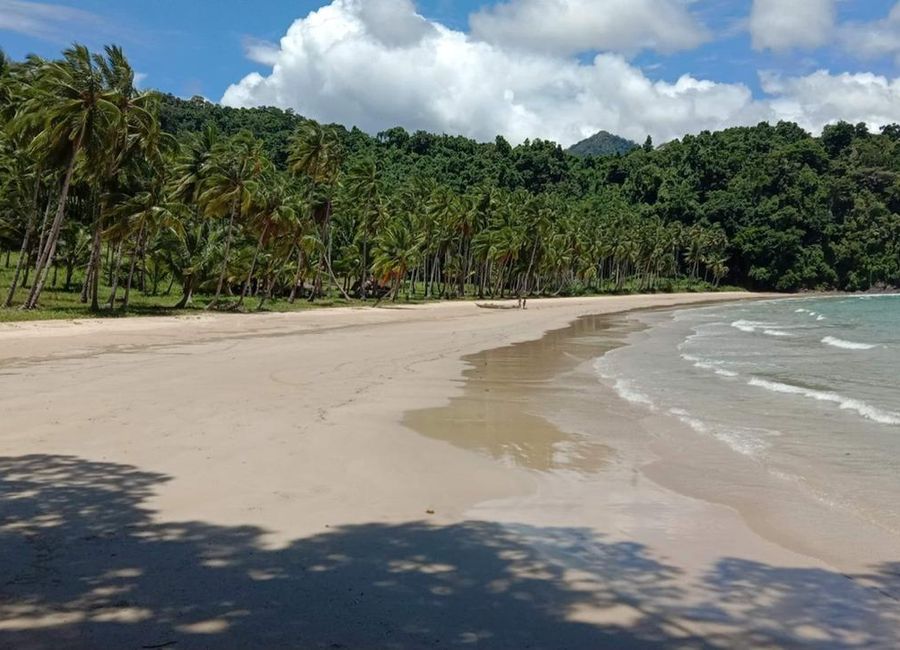 FOR SALE Beach Property in Panggangan Beach