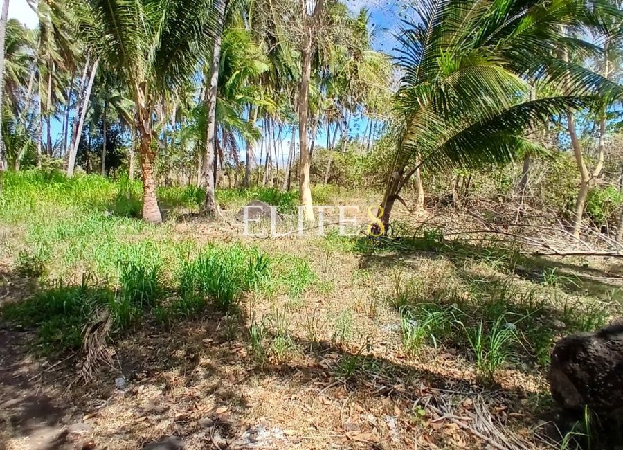 Lot For Sale in Barangay Magay, Dauin, Negros Oriental, situated along ...